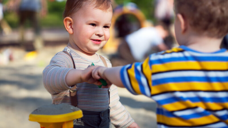 The Importance of Social Emotional Learning and Development in ECE ...